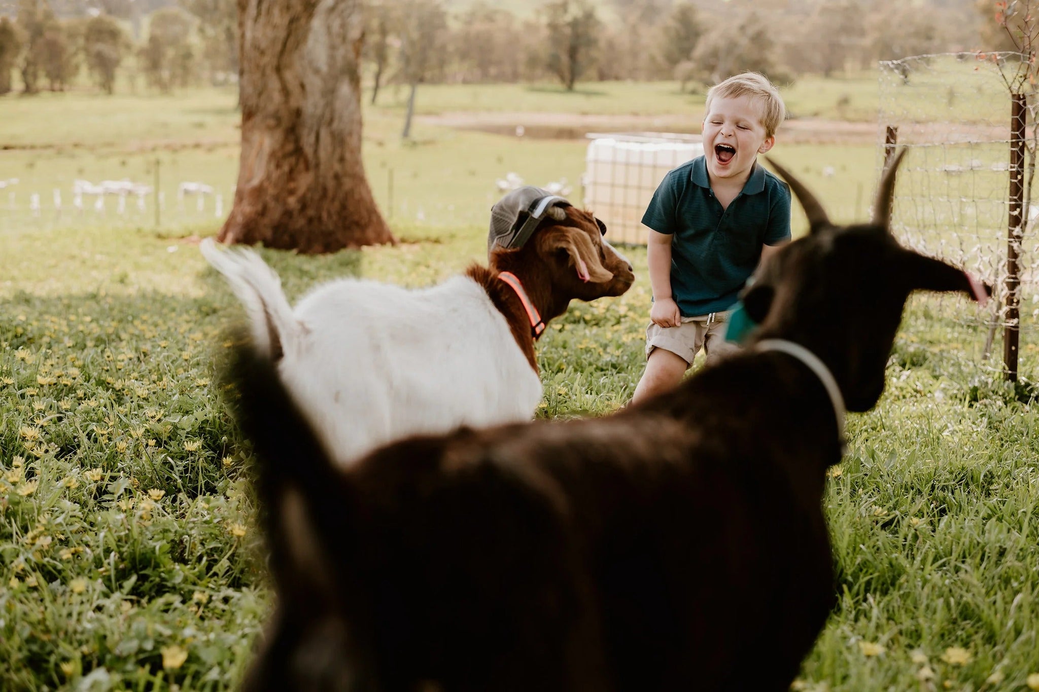 Pastoral Lane Produce